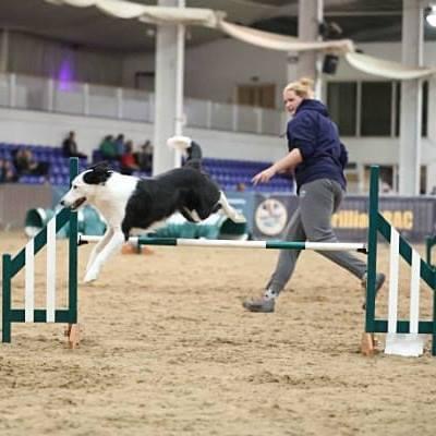 Welcome to Beyond Agility!