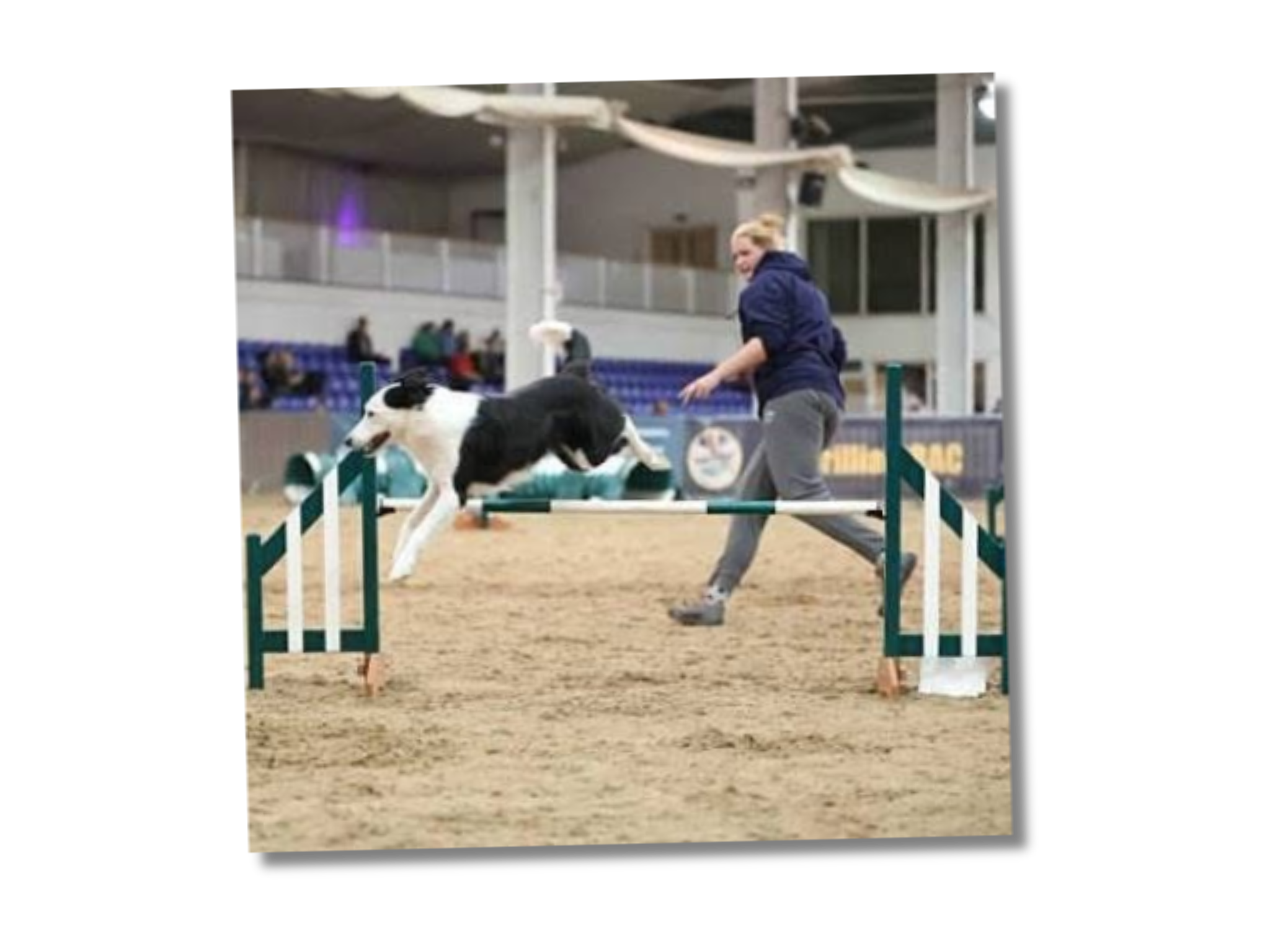 Welcome to Beyond Agility