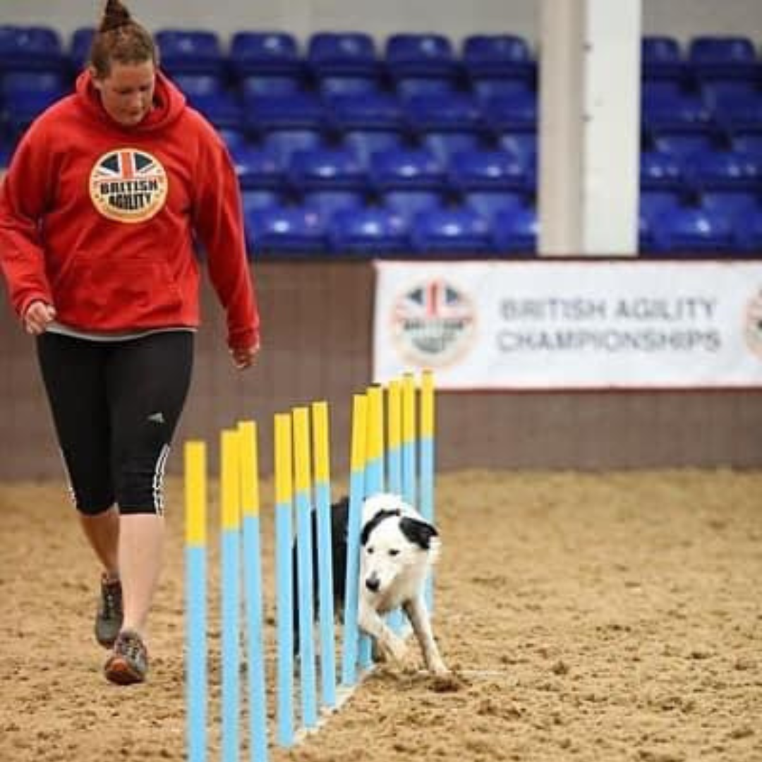 Welcome to Beyond Agility!