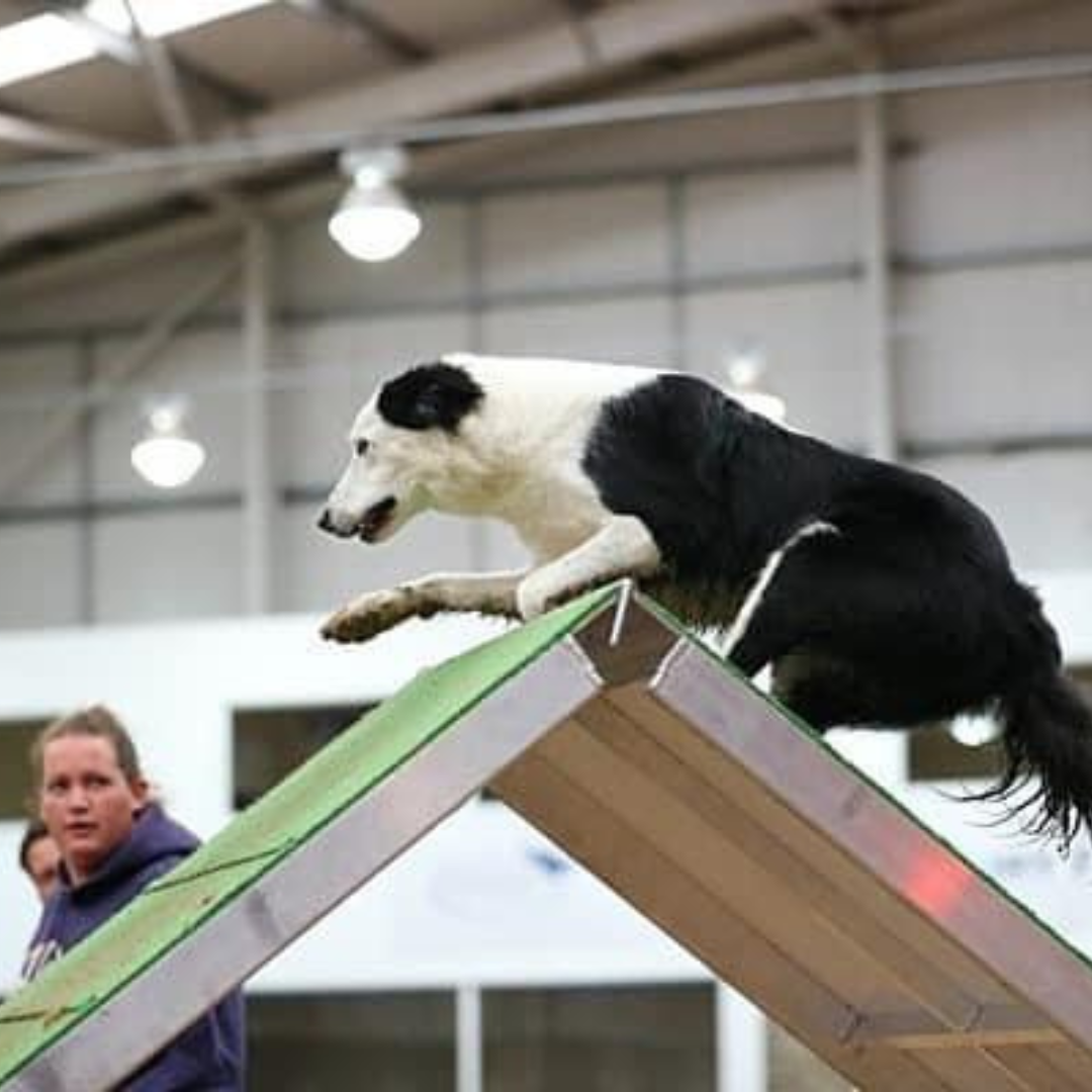 Welcome to Beyond Agility