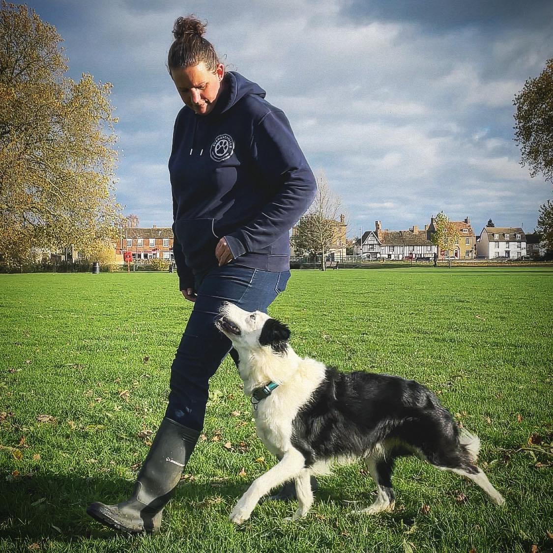 Welcome to Beyond Agility