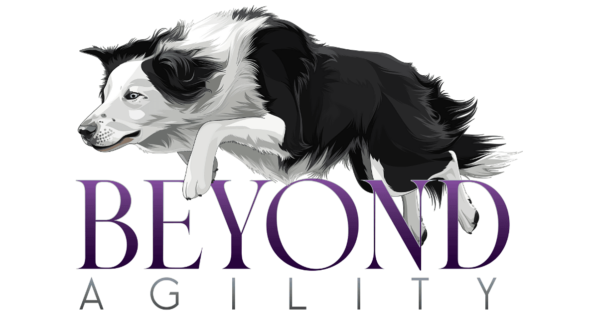 Coming Soon [gobeyondagility.com]