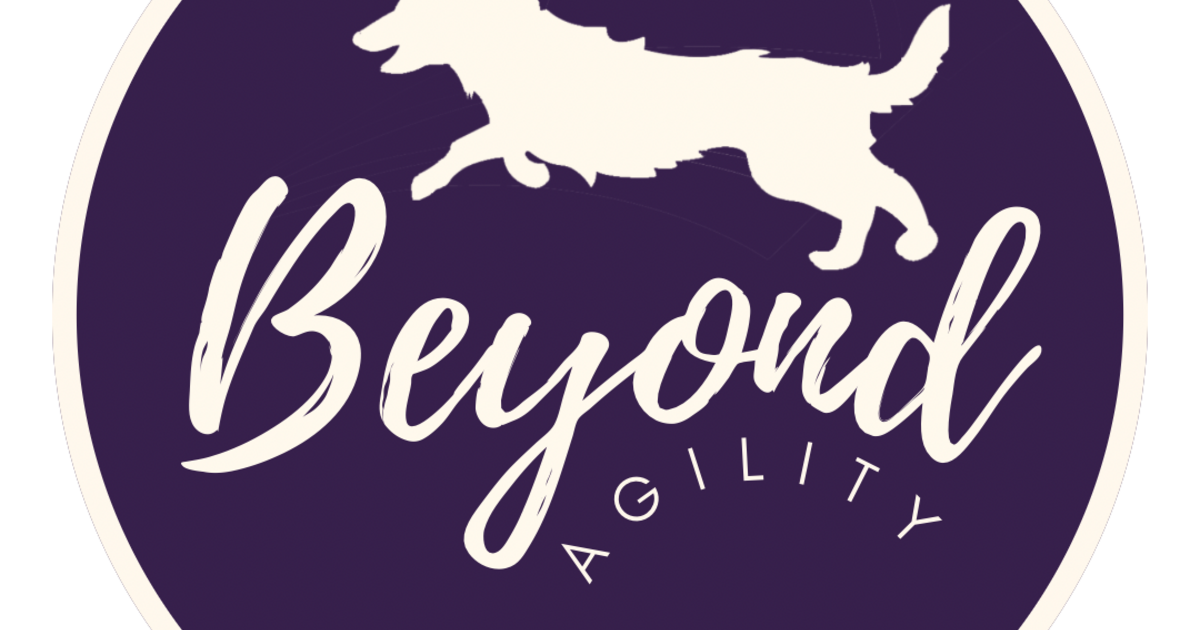 Log in to Beyond Agility