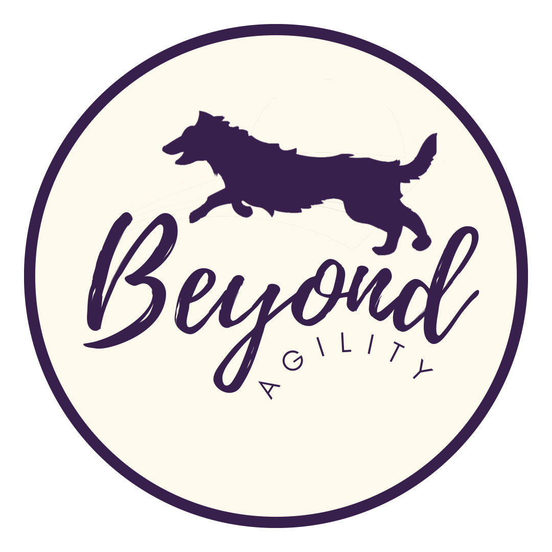 Welcome to Beyond Agility